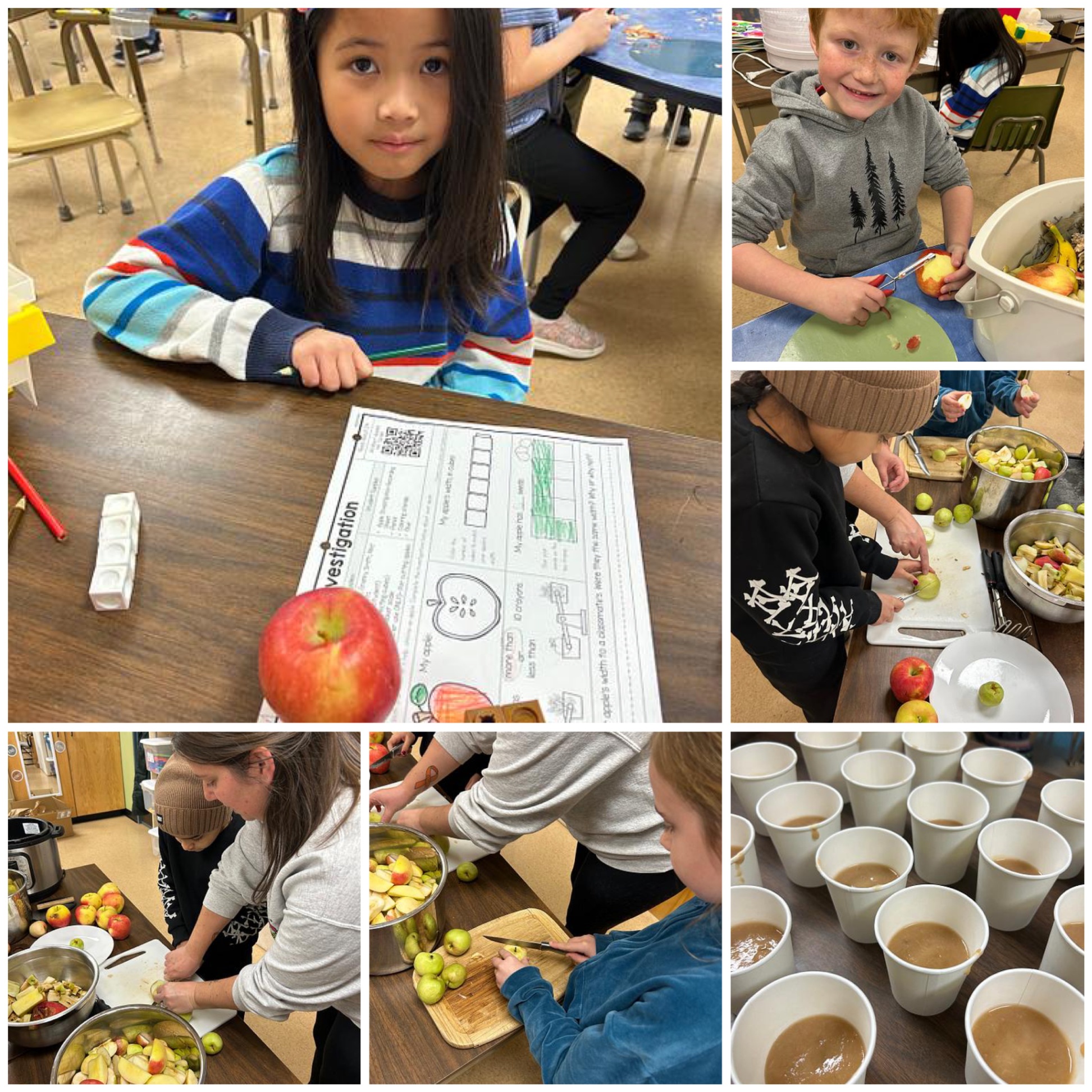 From Tree to Classroom - Cataline Elementary